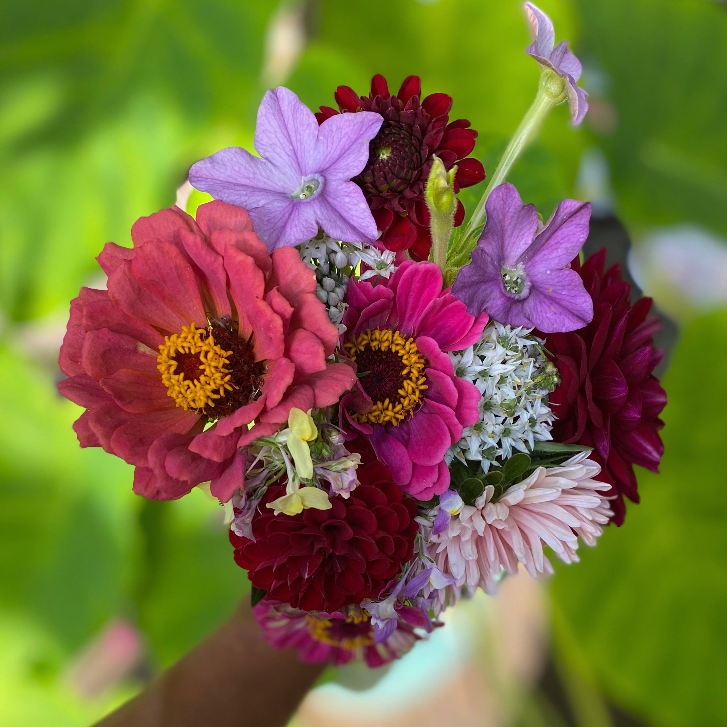 Florals – Bramble Babe